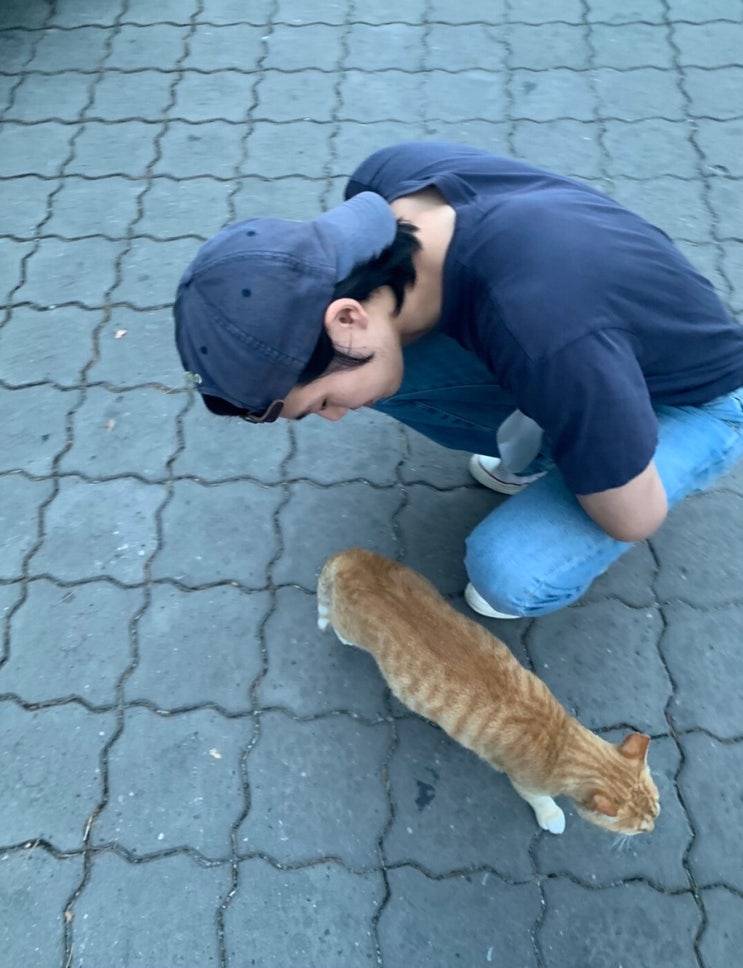 음 : 네이버 블로그