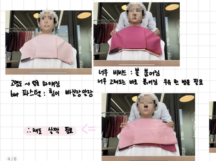 퍼스널컬러 여정 ( 2번의 실패부터 여름브라이트 성공까지 - APL COLOR ) : 네이버 블로그