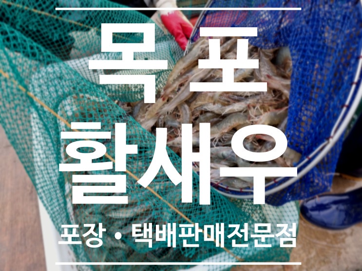 목포 새우 포장•택배 판매 전문점 [고고수산 왕새우직판장] - 활새우,생새우,왕새우,대하 : 네이버 블로그