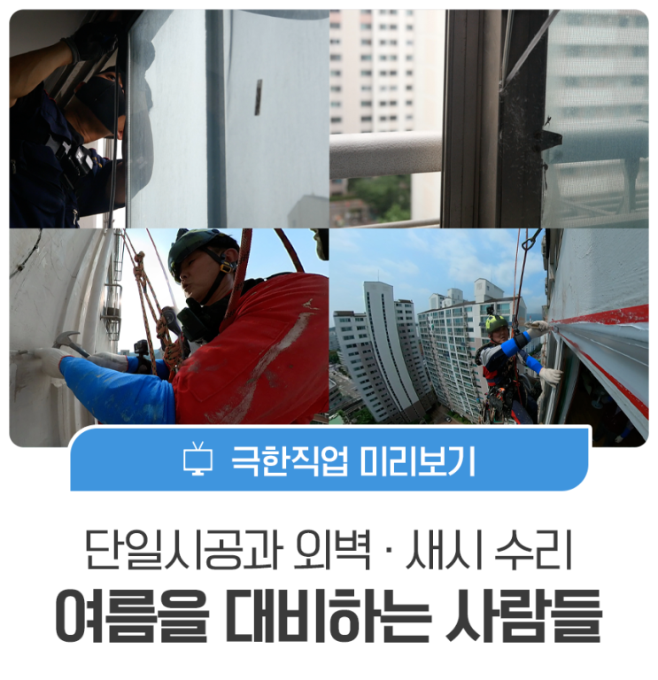 장마철 곰팡이 제거와 여름철 해충 제거 등 집 안 곳곳의 문제를 해결해보자 Ebs 극한직업 〈여름을 대비하는 사람들