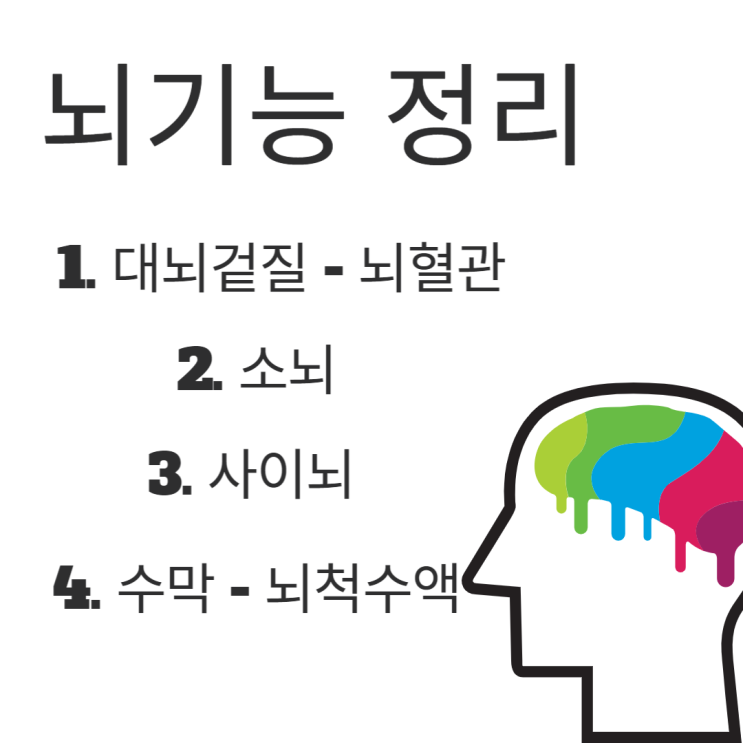 간단한 부위별 뇌기능 정리대뇌겉질 뇌혈관 소뇌 사이뇌 수막 뇌척수액 네이버 블로그