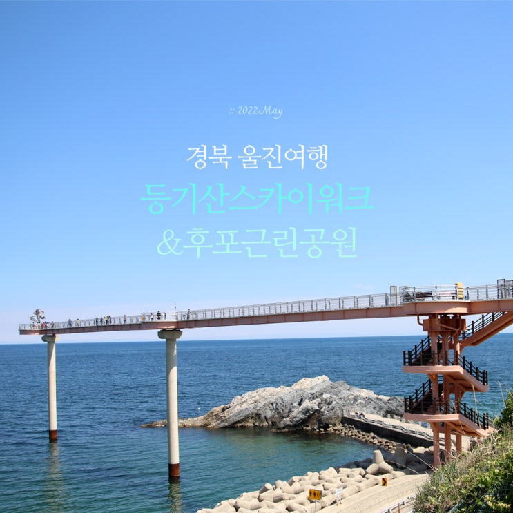 경북 울진 가볼만한곳 등기산스카이워크and등기산공원주차 울진대게빵 네이버 블로그