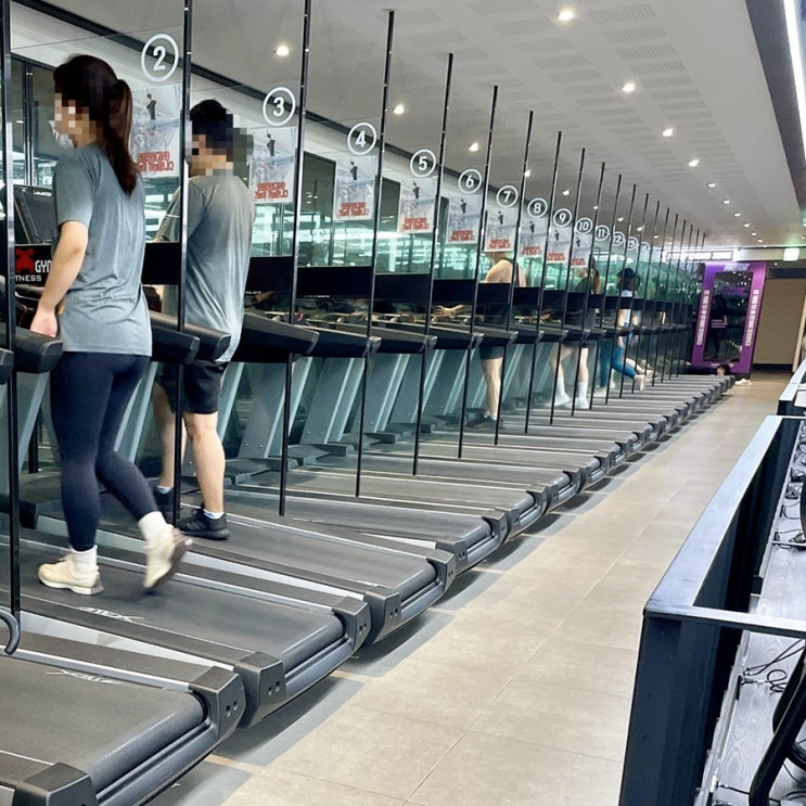 매월 2회 무료 Pt 신촌 헬스 에이블짐 네이버 블로그