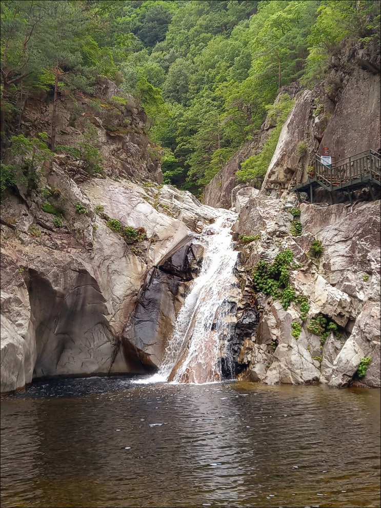 삼척 덕풍계곡응봉산 용소골 트레킹 덕풍마을주차장 제1용소 제2용소원점회귀 네이버 블로그