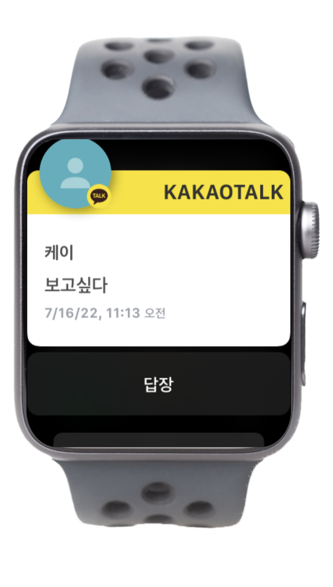 애플워치 카톡 알림 답장 카카오톡 미리보기 네이버 블로그