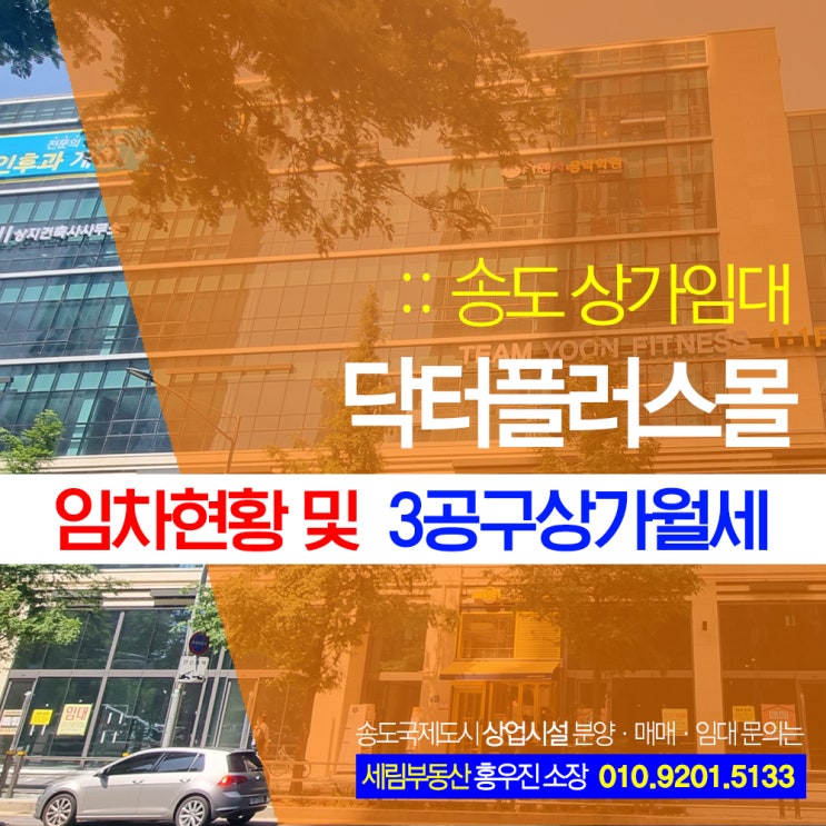 송도 닥터플러스몰 월세임대 임차현황도 확인하세요 네이버 블로그