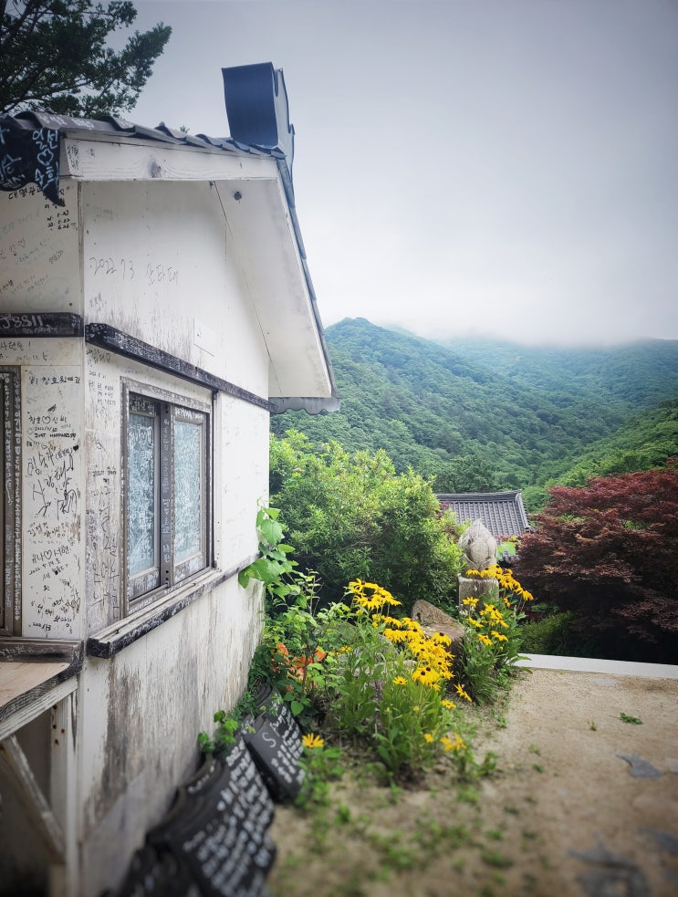 여름무주여행백련사까지 계곡트레킹하기 무주덕유산친환경버스탑승방법 덕유산탐방안내소에서 백련사까지 친환경전기버스시간표 타는방법