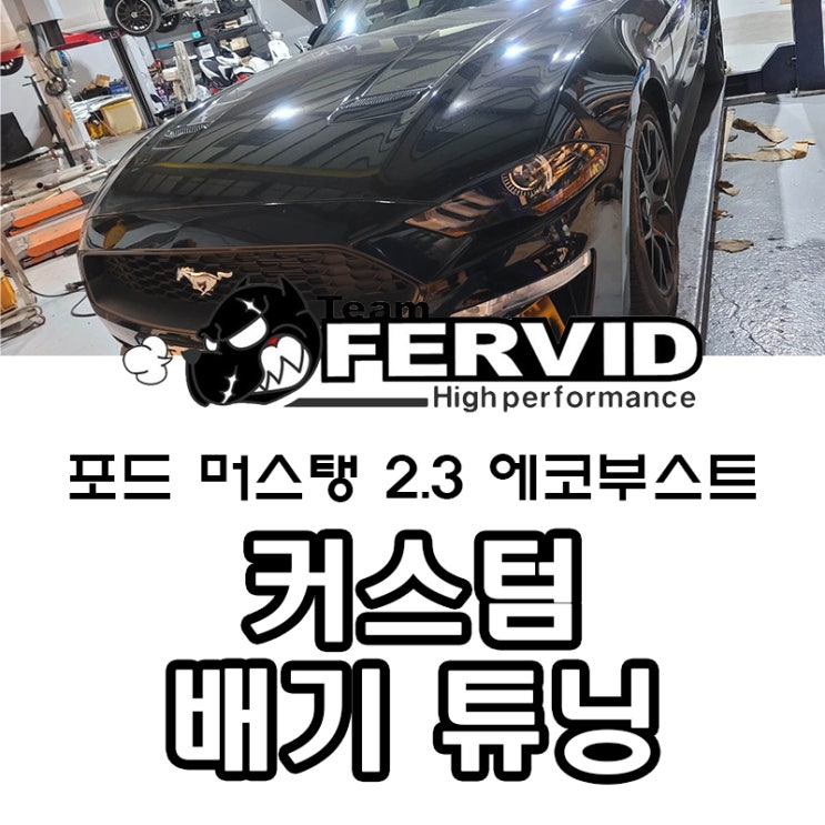 포드 머스탱 23 에코부스트 커스텀 듀얼 배기튜닝 배기음 114파이 머플러팁 네이버 블로그