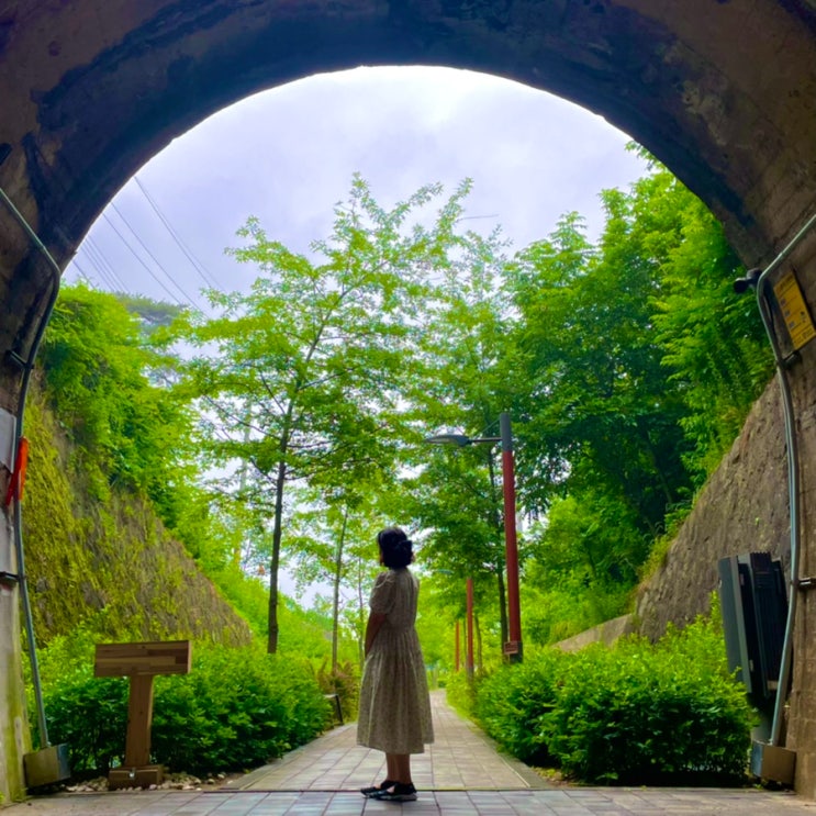 강릉 혼자 뚜벅이여행 강릉포토죤 강릉사진예쁜곳 경포생태저류지 노암터널 네이버 블로그