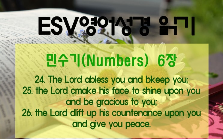 [ESV 영어성경 읽기] 민수기 Numbers 1-14장 : 네이버 블로그