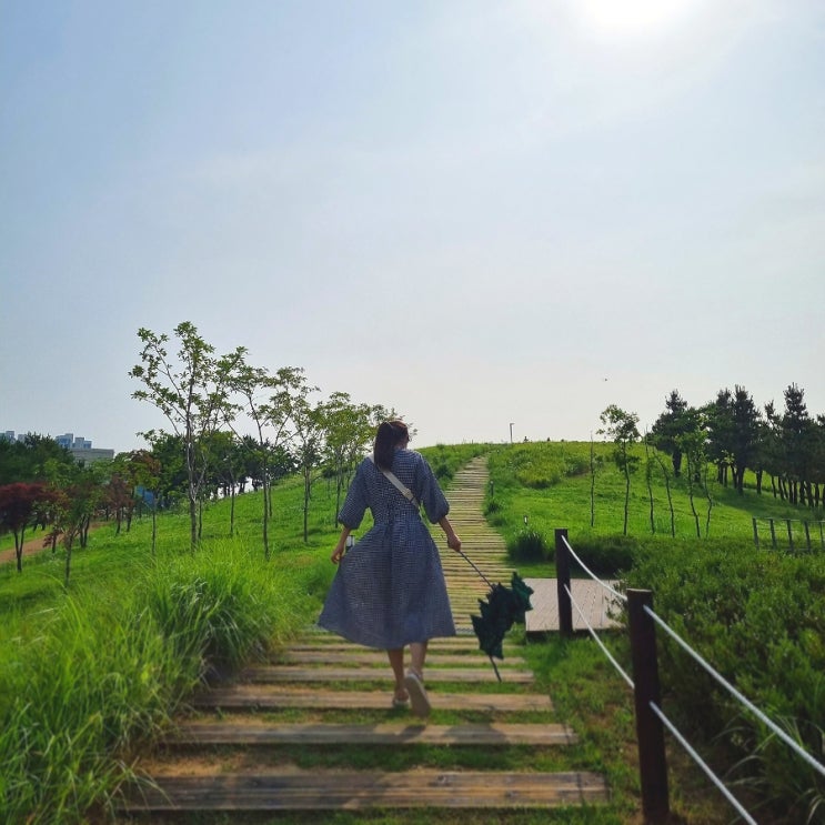 시흥 배곧생명공원 서울 근교 산책하기 좋은 드라이브 코스로 추천해요 오션뷰 좋은 배곧마루 네이버 블로그