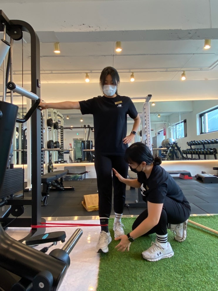 송파pt 엉덩관절 모음 근육 내전근 복합체adductor Complex기능해부학뉴만운동학 네이버 블로그
