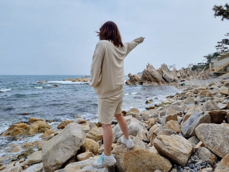 지오다노 추천인 sa12 셋업 츄리닝, 장희령 언브러시드 테리숏, 하프집업 풀오버 : 네이버 블로그