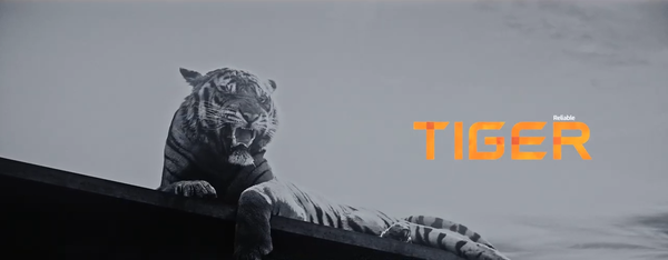 TIGER 차이나전기차SOLACTIVE 주가 종목 정리 : 네이버 블로그