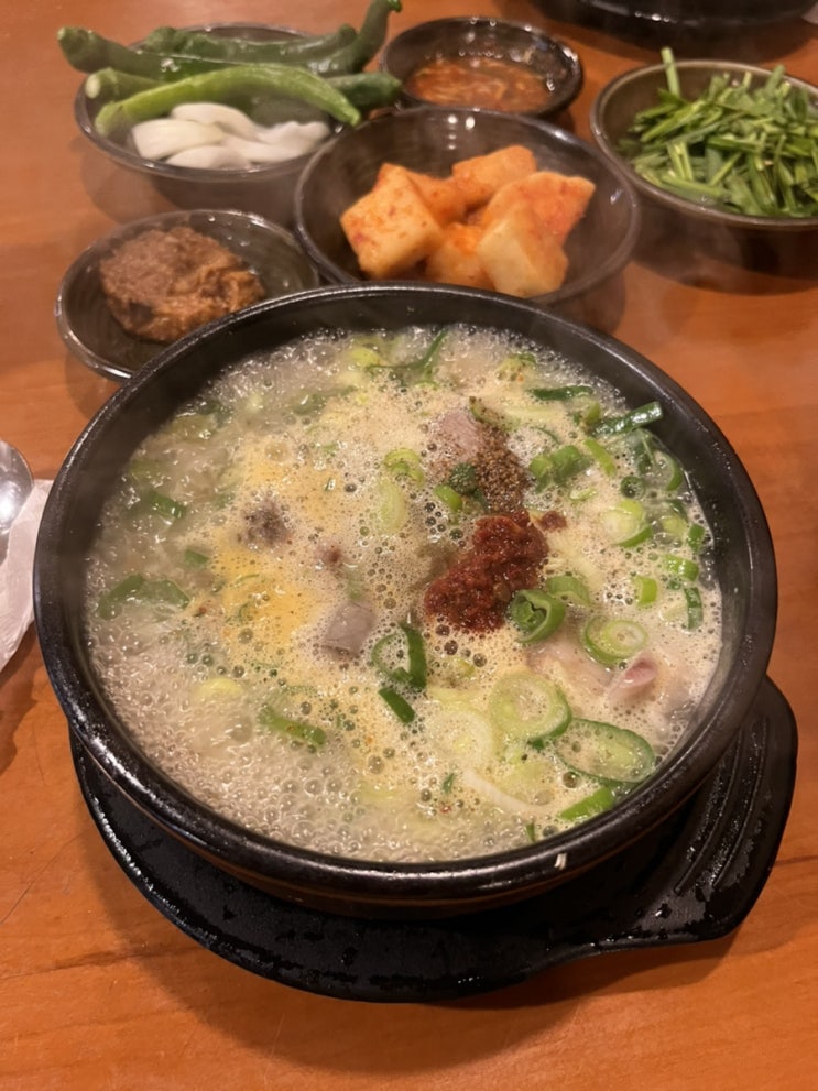 서울 시청 맛집 북창동 먹자골목 순대국밥 맛집 농민백암순대 시청직영점 네이버 블로그