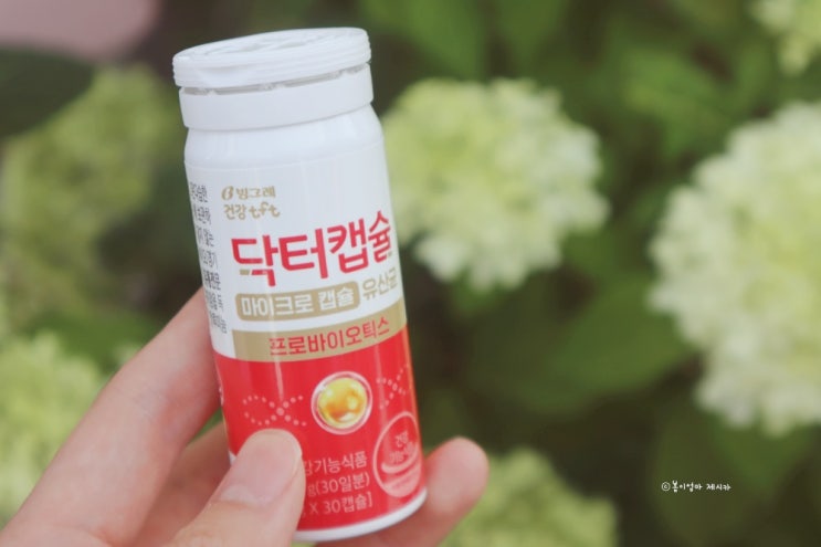 마이크로캡슐유산균 요즘은 닥터캡슐 마이크로캡슐 유산균 네이버 블로그