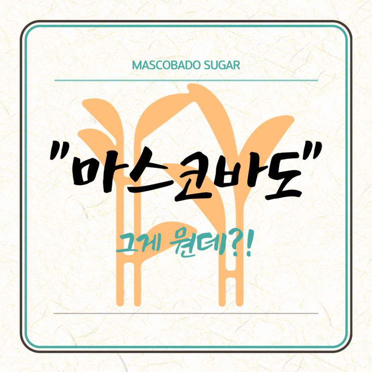 [대학생 대외활동] - 두레생협 마스코바도 (MASCOBADO SUGAR) : 네이버 블로그