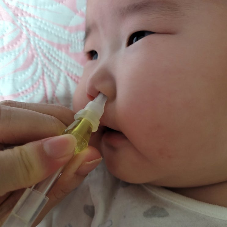 신생아 코딱지 제거엔 코끼리뻥코 코끼리뺑코 네이버 블로그