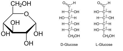 -1 탄수화물, 부제탄소, 카보닐기, 고리형구조, Monosaccharide : 네이버 블로그