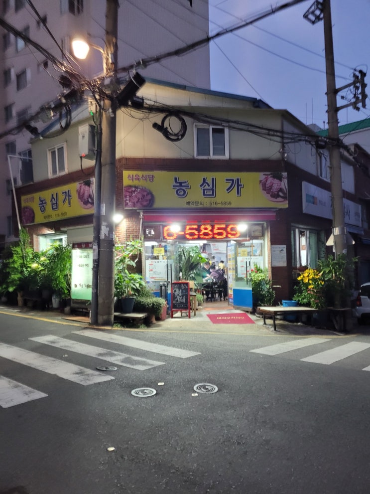 두실 특수부위 식육식당 맛집 농심가 육회 최고 네이버 블로그