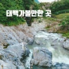태백 가볼만한 곳 통리탄탄파크외 5곳 네이버 블로그