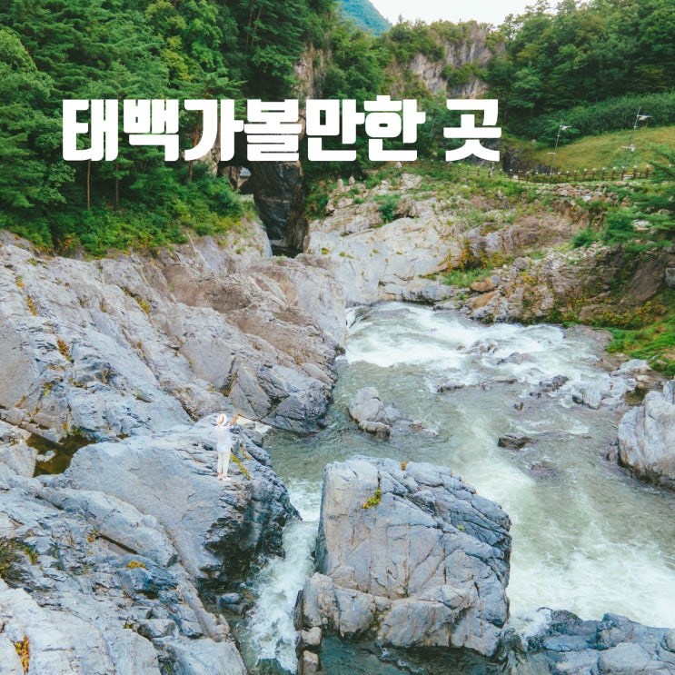태백 가볼만한 곳 통리탄탄파크외 5곳 네이버 블로그