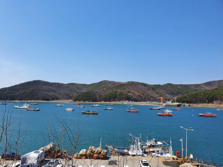 어업경영체 등록신청서어업인용 작성방법 네이버 블로그