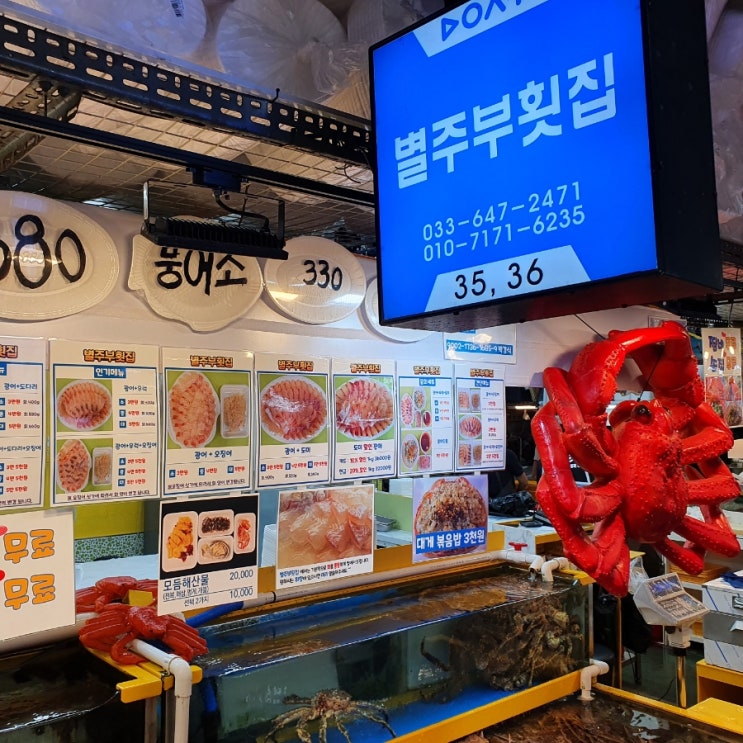 별주부횟집 강릉중앙시장물회맛집 포장회 토실토실해요 : 네이버 블로그