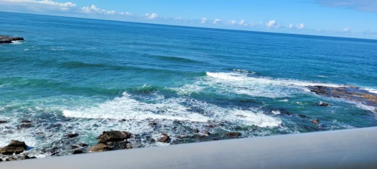 #002 호주 2,3일차 : 네이버 블로그