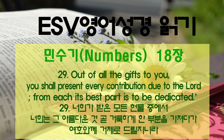 [ESV 영어성경 읽기] 민수기 Numbers 15-25장 : 네이버 블로그