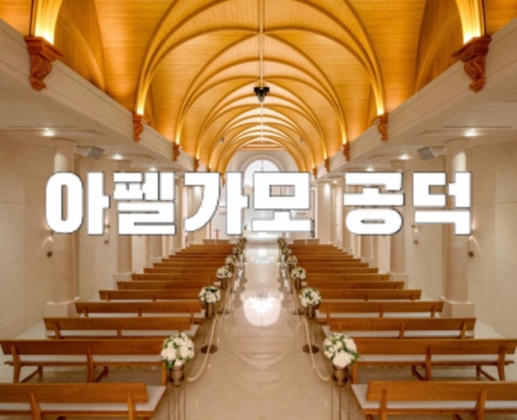 웨딩홀투어 아펠가모 공덕 솔직 후기 계약x 네이버 블로그