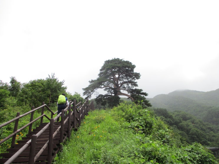 지리산 뱀사골 계곡 트레킹 : 네이버 블로그