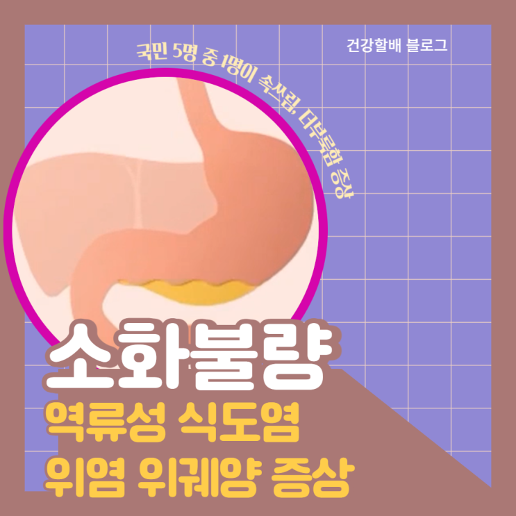 소화불량 역류성 식도염 위염 위궤양 증상 네이버 블로그