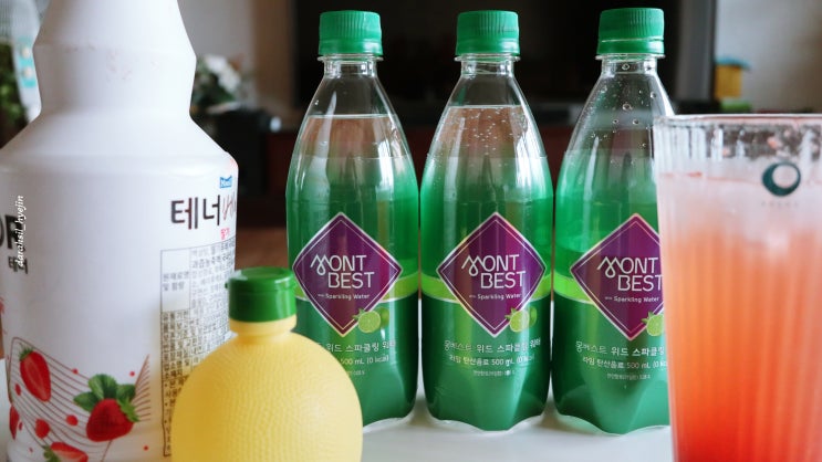 맛있는 제로칼로리 음료 몽베스트 탄산수 추천 네이버 블로그