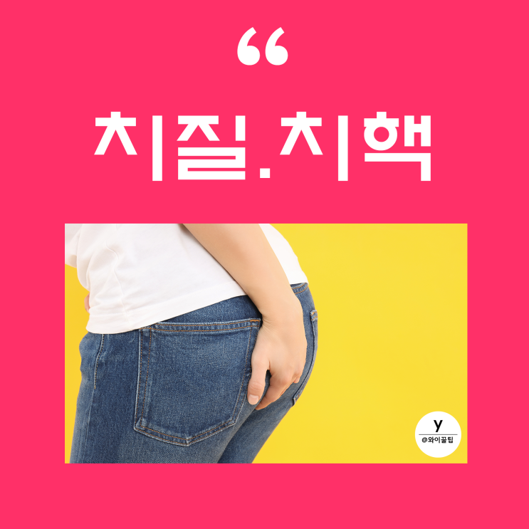 치질 치핵 증상 원인 종류 내치핵 외치핵 치료 자연치료 4기 3기 여성 통증완화 치질에 좋은 음식 통증완화 수술 방법 피 통증