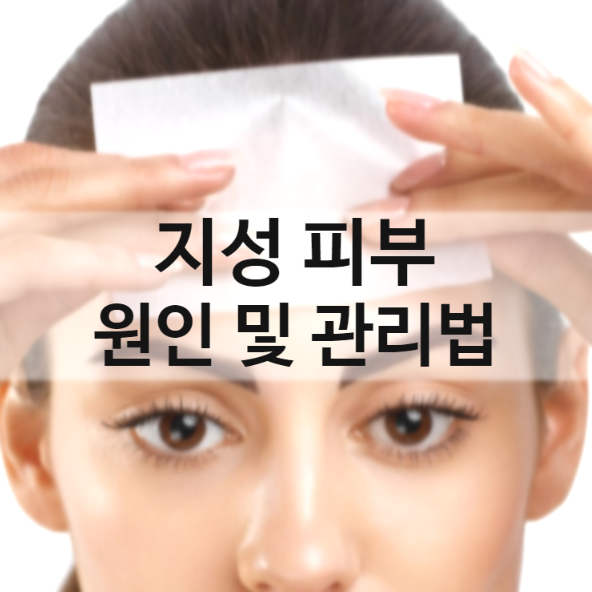 지성 피부 원인 및 알맞은 관리법 지성 피부 관리 팁 같이 알아봐요 네이버 블로그