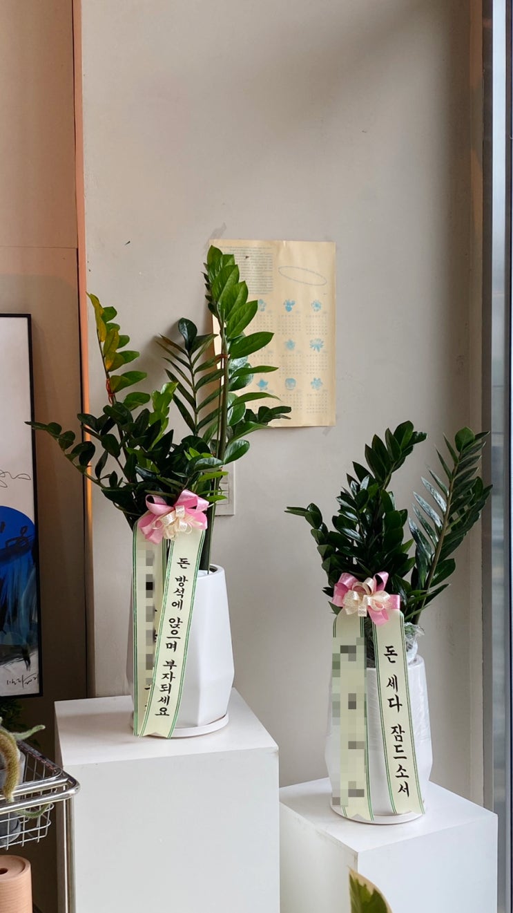 평택화분 평택개업화분 화분배달 평택꽃집추천 동삭동꽃집 라뜰리에 금전수배달 평택개업화분배달 평택꽃배달 네이버 블로그