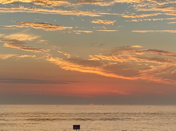 [weekly diary] July.11~ 17 : 네이버 블로그