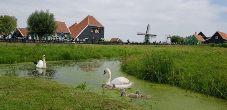 30) 풍차, 환경의 시대에 다시 주목하는 새로운 에너지원 : 네이버 블로그