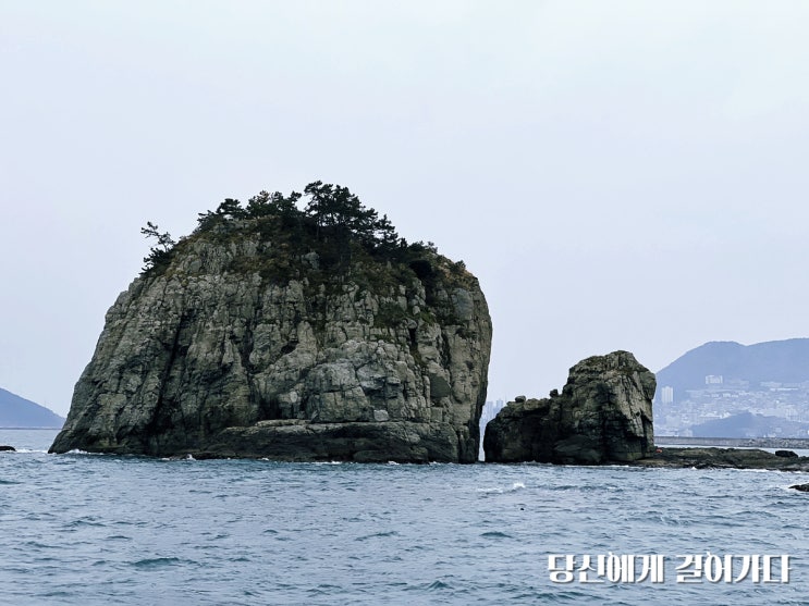 해운대 유람선 오륙도 해상투어 70분간의 유람 : 네이버 블로그