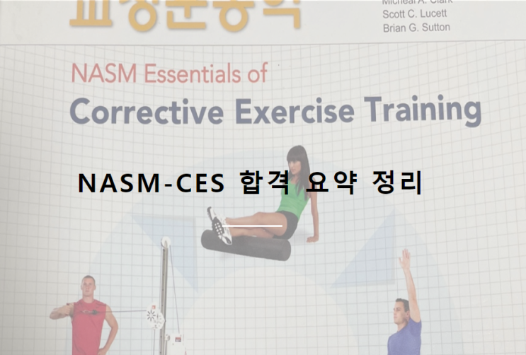 NASM-CES(교정운동학) 합격 요약 정리 : 네이버 블로그