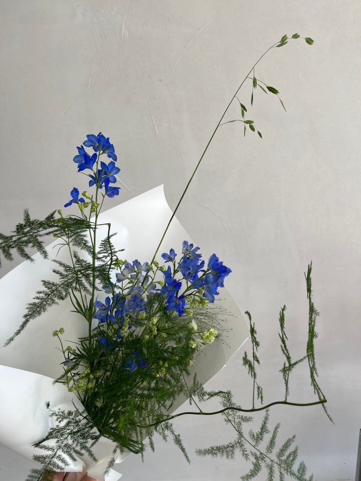 [꽃집] 제주꽃집 블루반다, bluevanda : 네이버 블로그