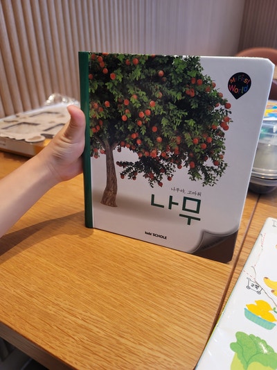 독후활동 31회 마이퍼스트 월드 나무 편 연계 활동지 And 플레이팩토 1단계 과일분류칩 교구 And 행복프로젝트 나무판