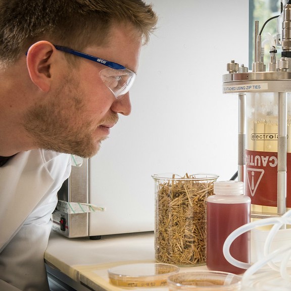 실험실에서 만든 인공 팜유와 미래, C16, Xylome : 네이버 블로그