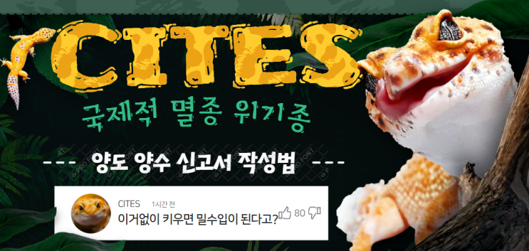 사이테스cites 국제적 멸종위기종양도 양수 신고서 서류 신청하는방법 네이버 블로그