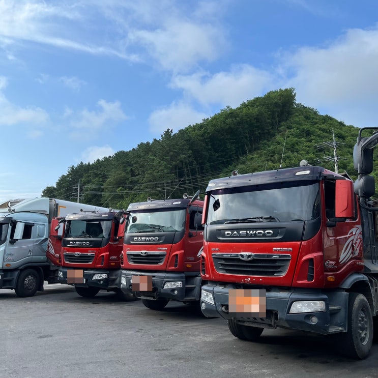 타타대우상용차 파주정비사업소 타타대우 정기점검 파주 일산상용차 덤프트럭 엔진오일 등 필터류 교환 및 브레이크패드 및 삼발이 볼
