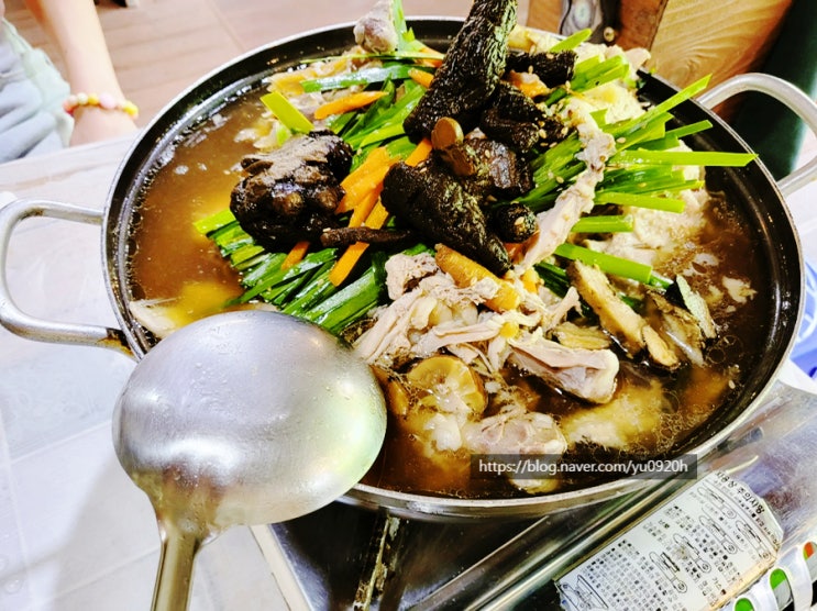 경기도 근처 계곡 보며 먹는 닭백숙 맛집 용인 다닐목 추천 물놀이 가능 네이버 블로그