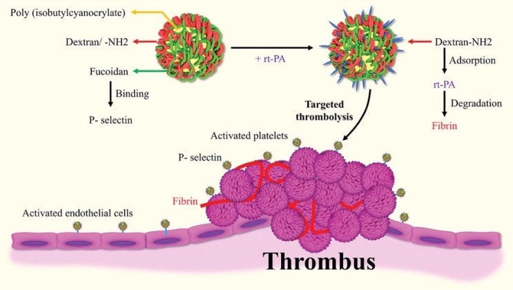 혈전용해제 thrombolytics : 네이버 블로그