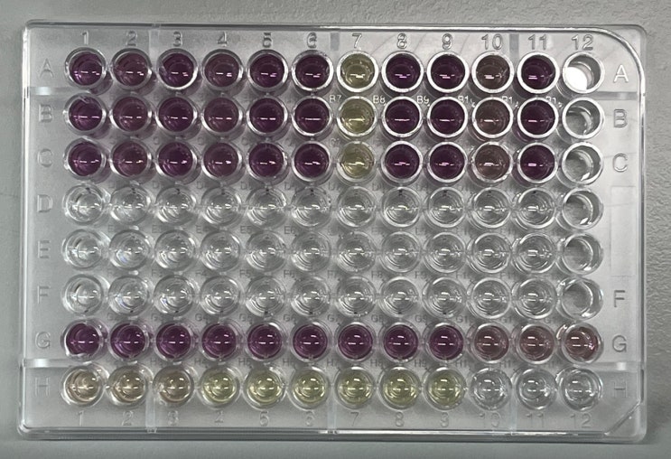 [분자생물학 실험실]DPPH assay : 네이버 블로그