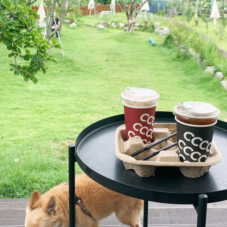 안산 애견동반 카페 커피가든coffee Garden 넓다 넓어 ♡ 네이버 블로그